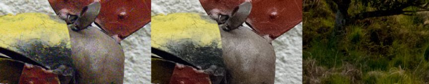 5 Great Ways to Reduce Noise in Your Photos - Improve Photography