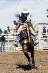7 Tips For Rodeo Photography - Improve Photography