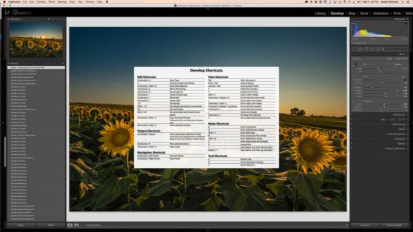 20 Need-to-Know Lightroom Shortcuts to Speed Up Your Workflow - Improve Photography
