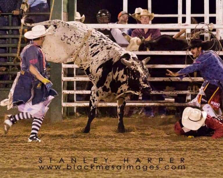 7 Tips For Rodeo Photography - Improve Photography