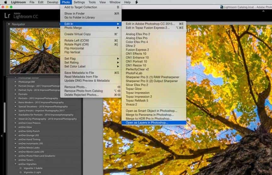 Get Focused! Image Stacking for Maximum Depth of Field - Improve ...