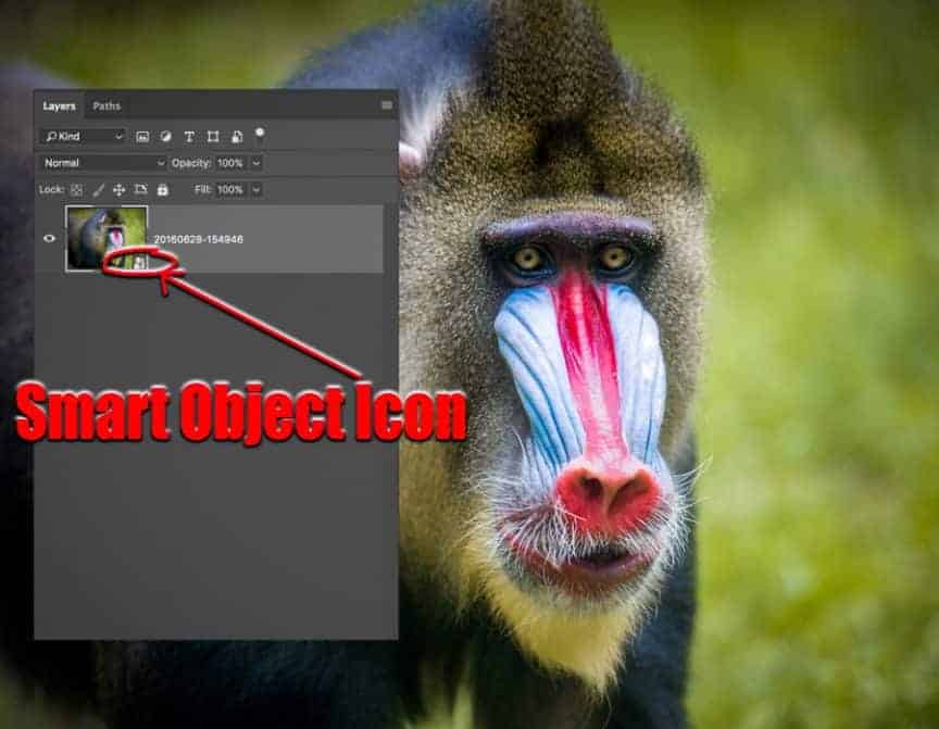 Getting Smart with Photoshop Smart Objects - Improve Photography