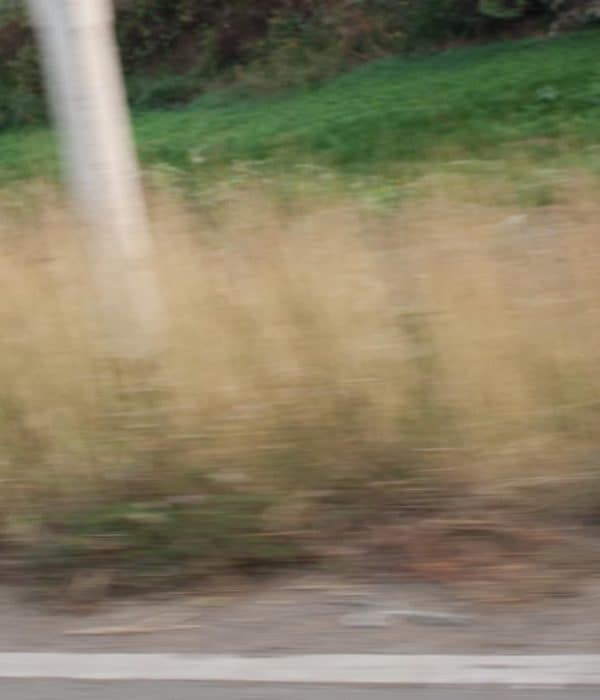 Focal-Plane Shutter: What it is and how it affects your photos ...