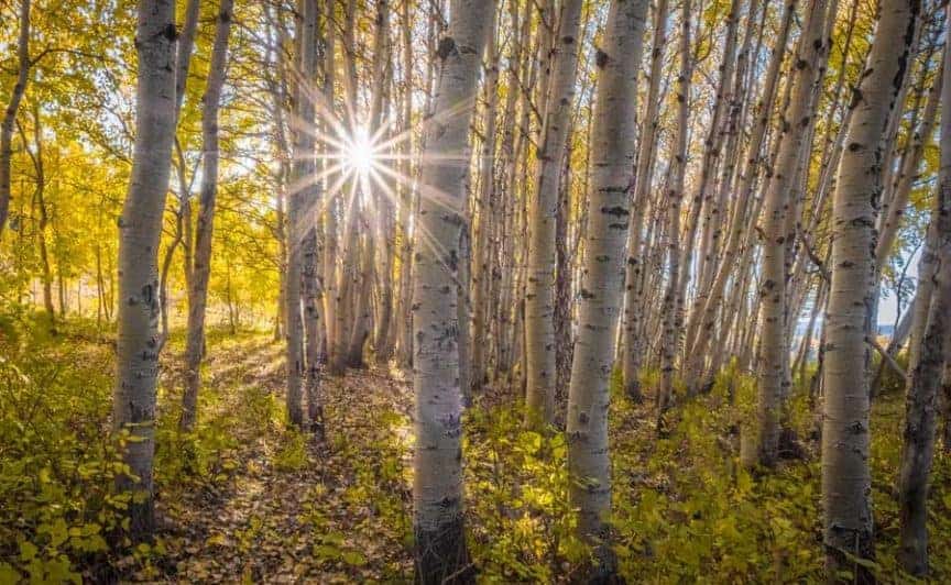 12 Tips for Advanced Landscape Photography Compositions - Improve ...