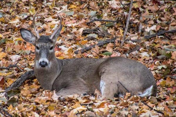 11 Beginner Tutorials for Learning Photoshop Quickly - Improve Photography