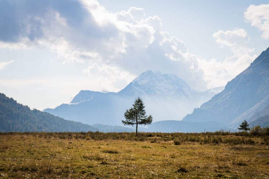 25 Quick Tips to Make More Interesting Pictures - Improve Photography