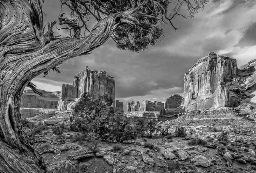 A Dozen Reasons to Make it Monochrome - Improve Photography