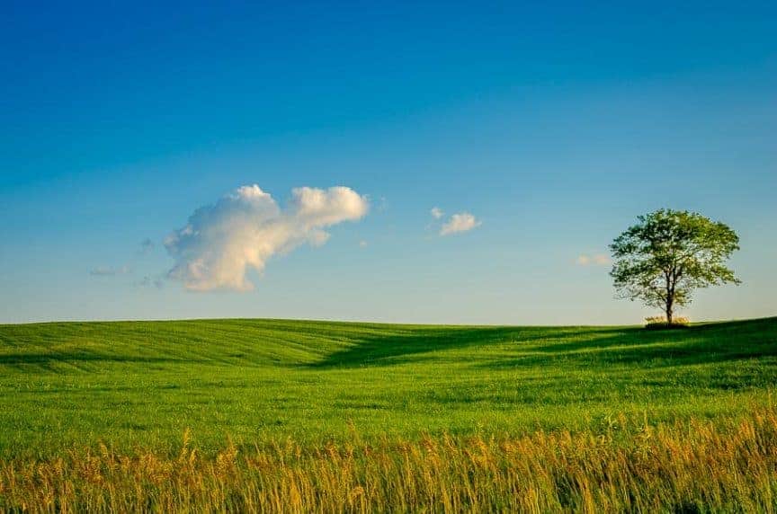 9 Tips to take your landscape photography to the next level - Improve ...