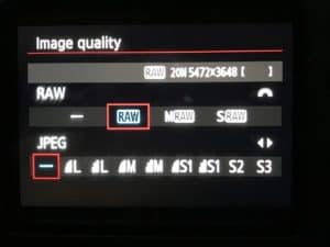 Why you should shoot in RAW and convert to Jpeg - Improve Photography