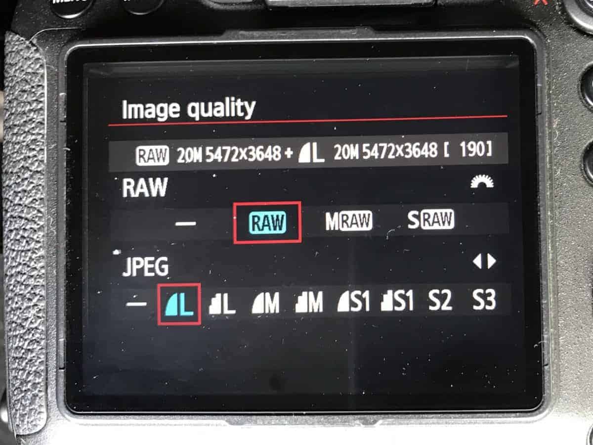 Why you should shoot in RAW and convert to Jpeg - Improve Photography