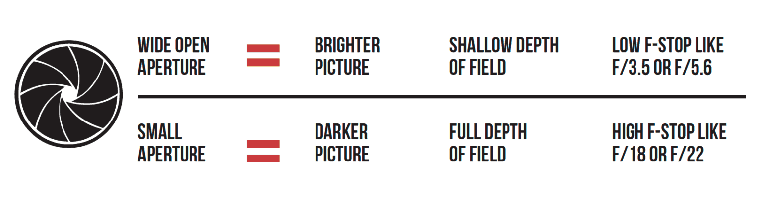 Photography Basics 101: Aperture, Shutter speed, and ISO - Improve Photography