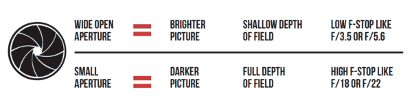 Photography Basics 101: Aperture, Shutter speed, and ISO - Improve ...